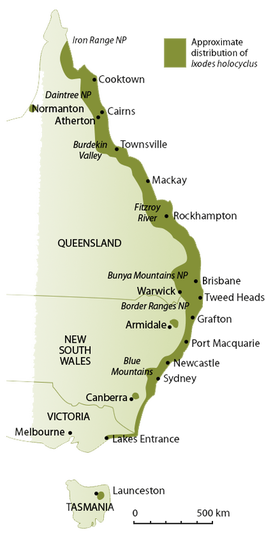 The Ultimate Guide to Paralysis Ticks | VetShopAustralia